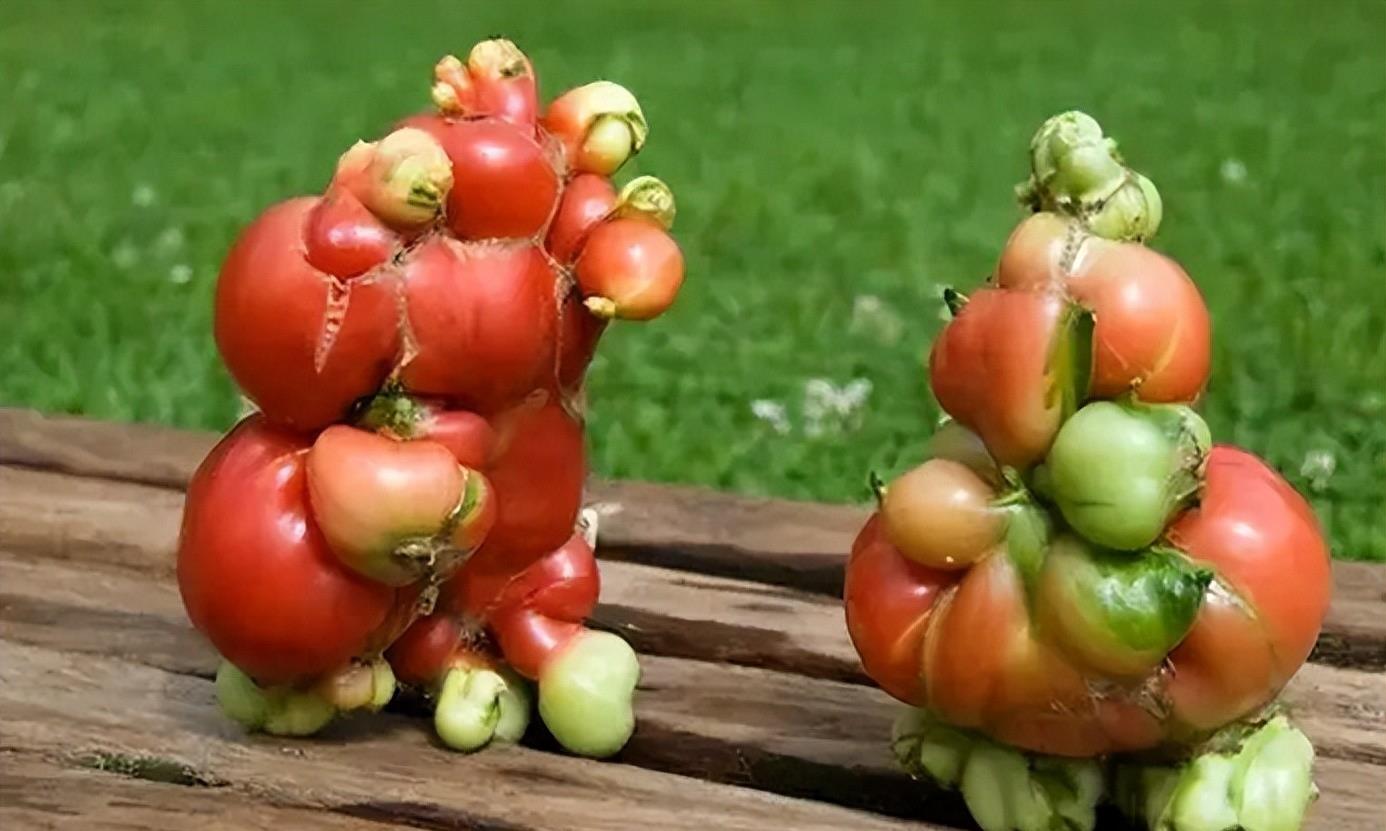 How terrible is the Fukushima nuclear leak in Japan? Just look at these ...