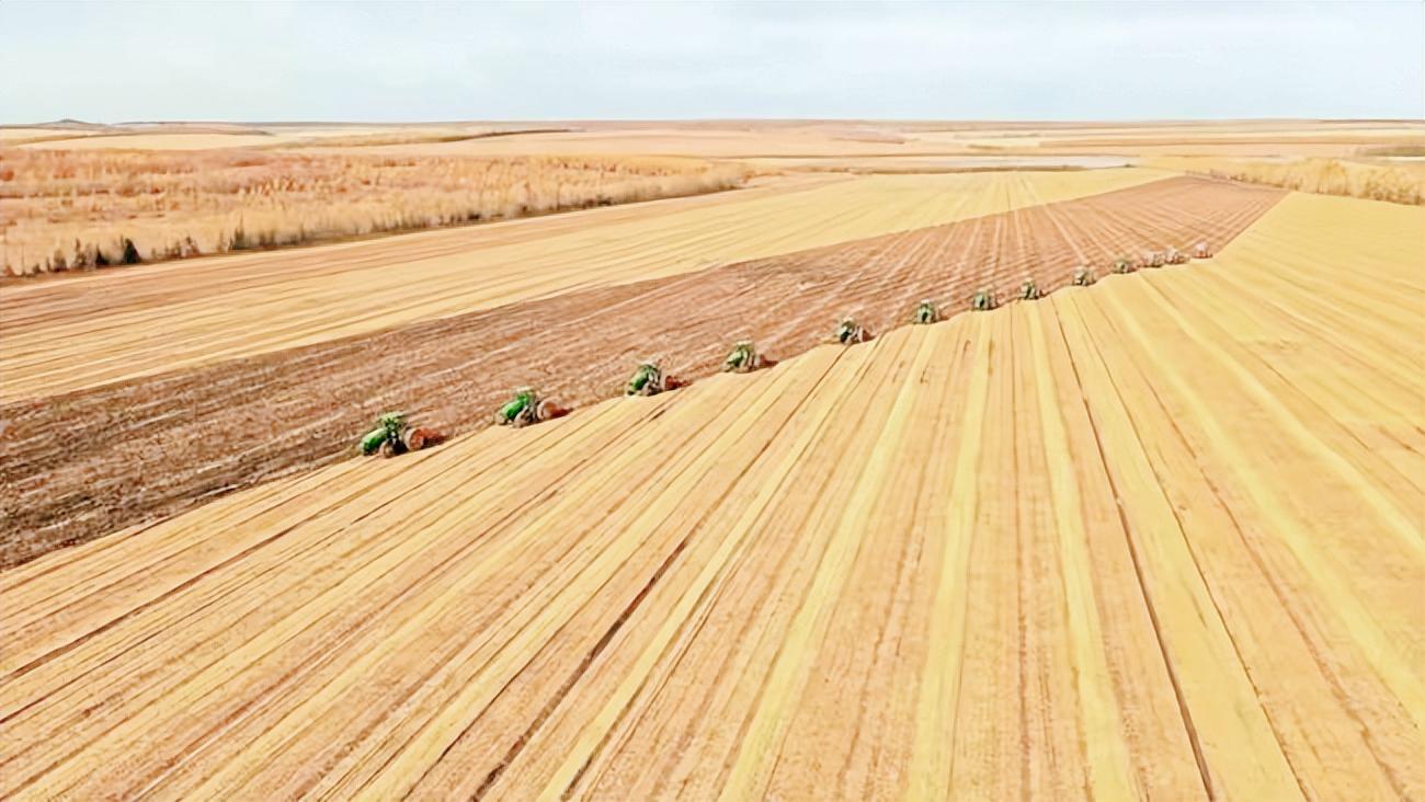 incredible! China's largest grain depot has a storage capacity of 5 ...