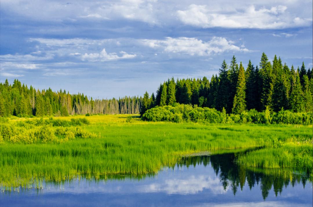 "Popular Science" How important are negative oxygen ions to us? - iNEWS