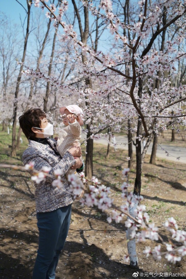 Hui Ruoqi's family went on a spring outing, Xiao Xiao Hui showed her ...