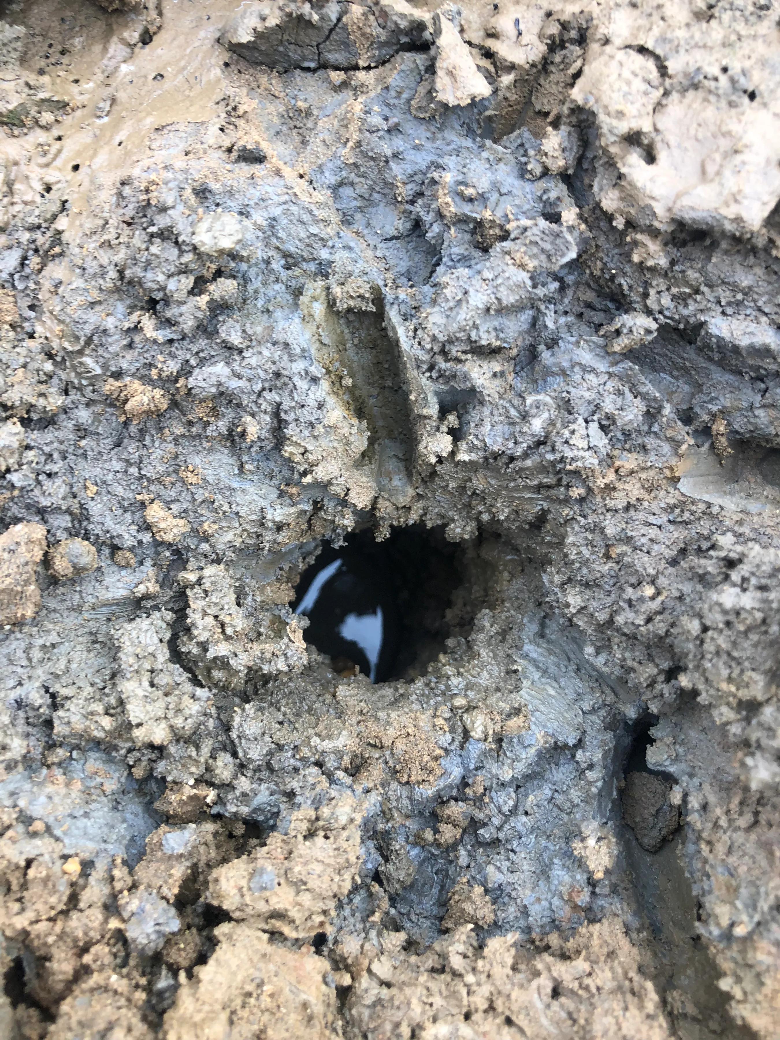 Rescue a small fish in Lolong Lake - iMedia