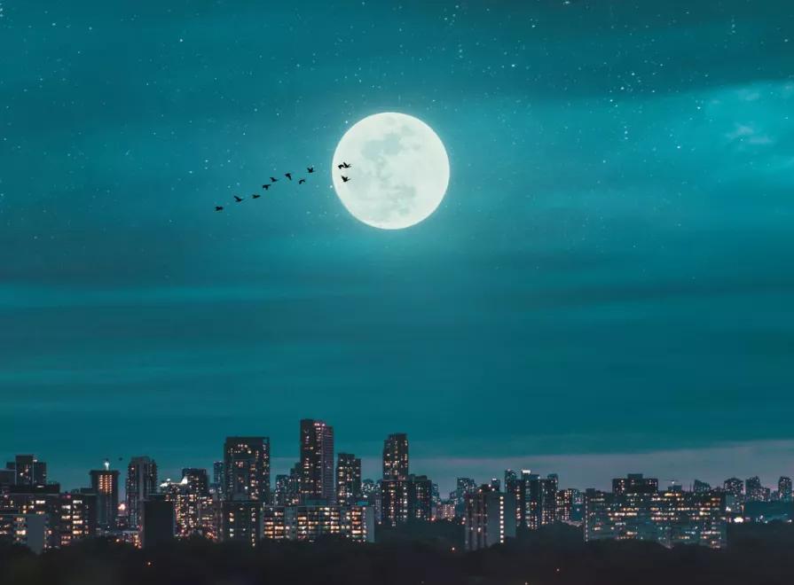 Su Shi's coordinates - iNEWS