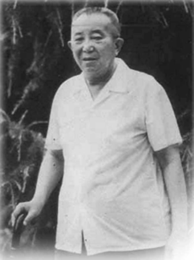 Luo Ruiqing died of illness in 1978, Deng Xiaoping sighed "too ...