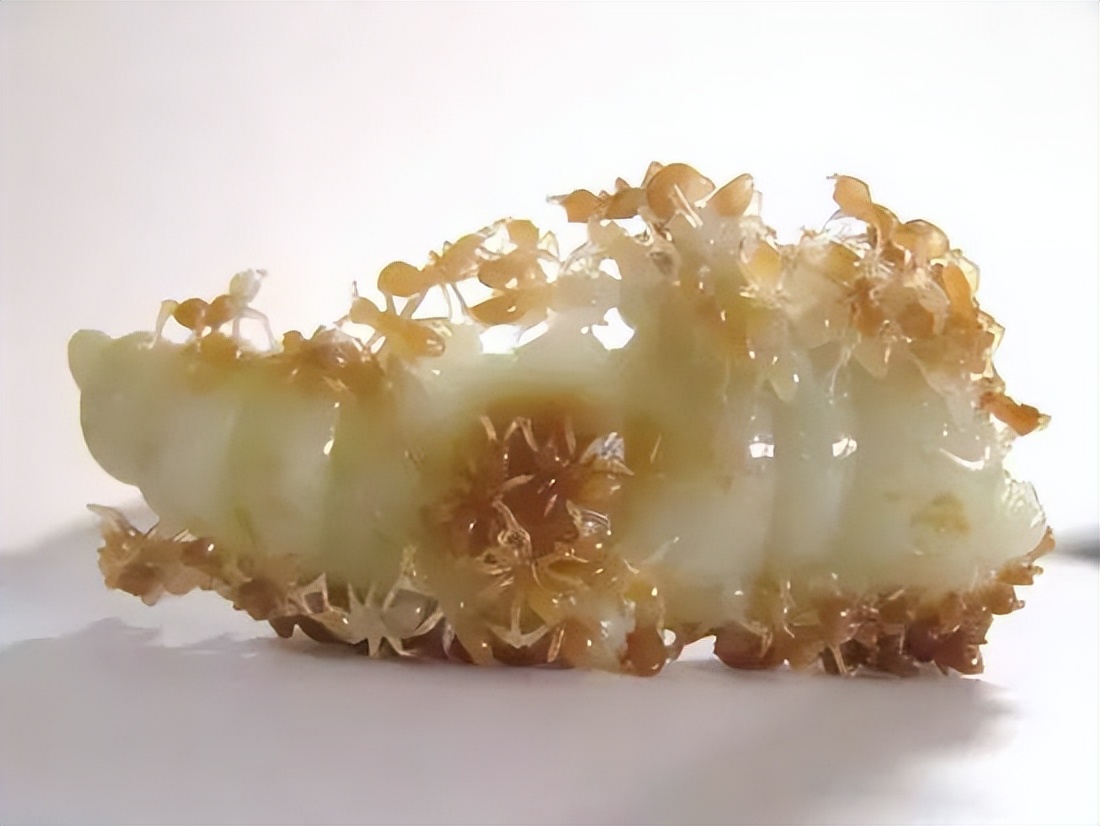 Those ancient crafts!It's a pity that so few people know - iNEWS