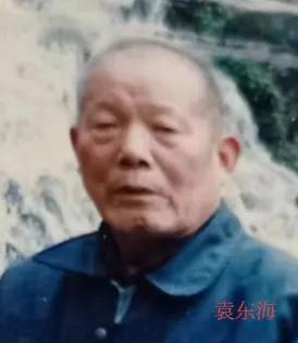 What are the reasons why Wang Guofu, Wang Guozheng, and Wang Wenxuan were wronged? - iNEWS