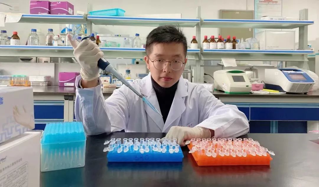 excellent! Doctoral students publish 4 Nature sub-journals! - iNEWS