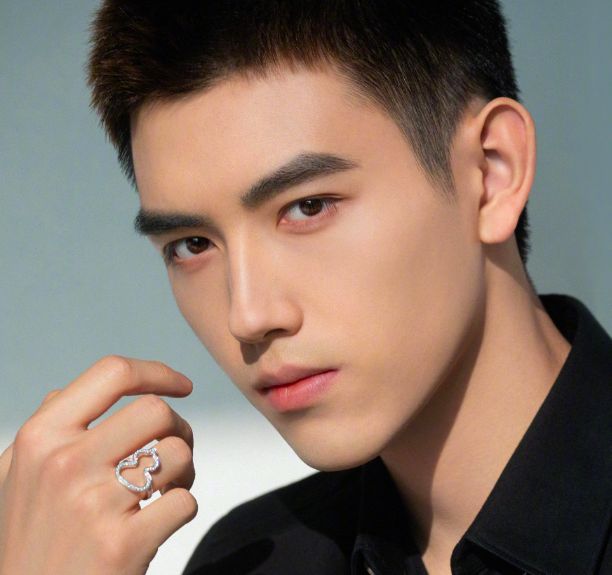 Chen Feiyu and his elder brother met by chance. The elder brother ...