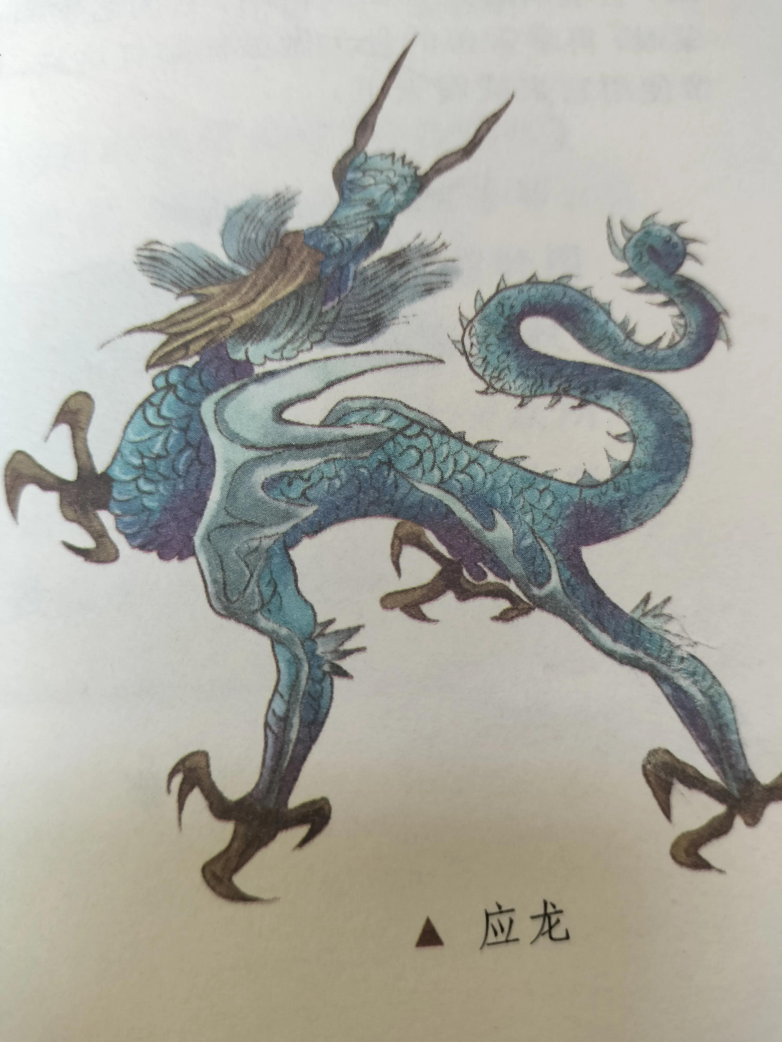 "The Legend of Monsters" Film Critic II: Is the dragon a real animal or ...