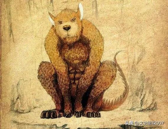 The ancient exotic beast and the wine-loving ox - iNEWS