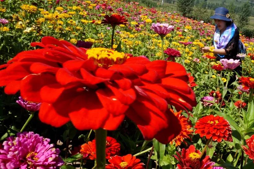 "Xia Feng Yin" - iNEWS