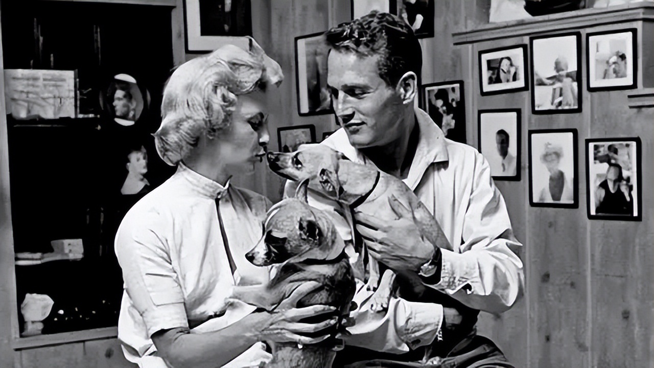 What does Paul Newman's memoir say? - iNEWS