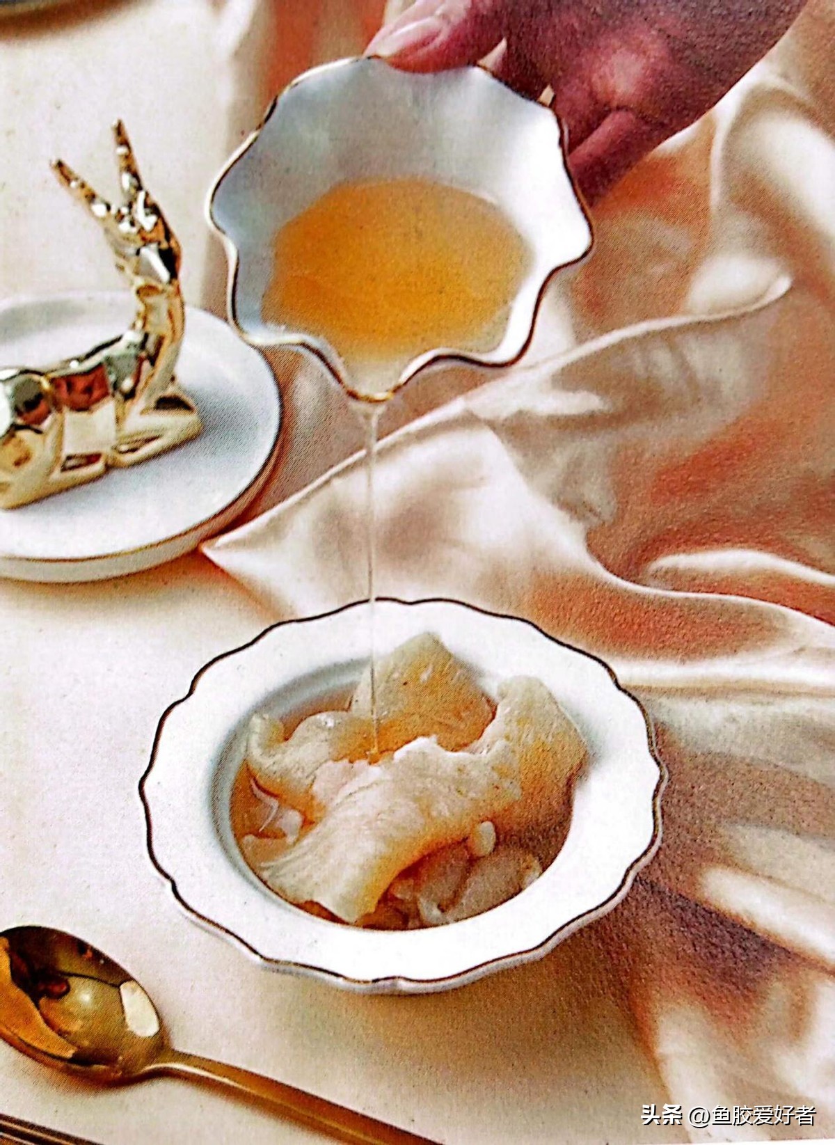 It's time to arrange fish glue feast for the "beasts"! - iMedia