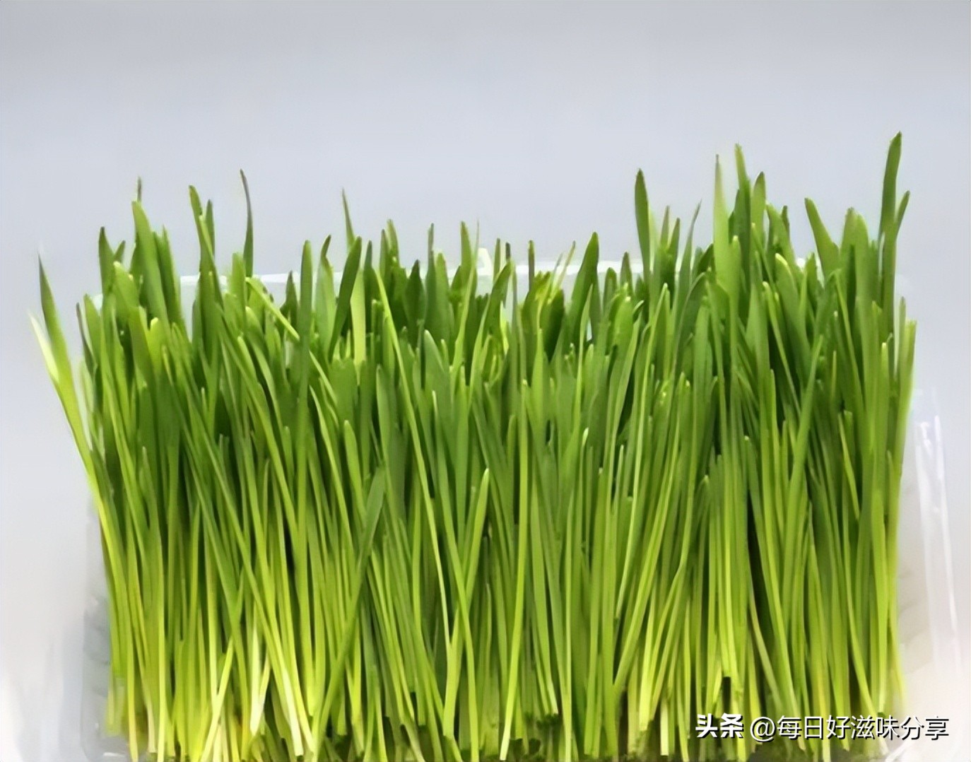 Sprout potatoes are poisonous and cannot be eaten. These 6 common seeds ...