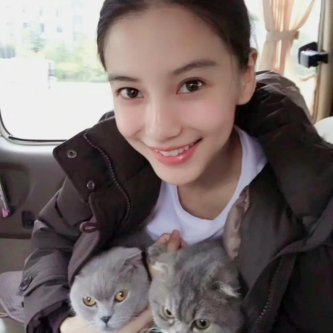 Baby Yang Ying's head portrait - iNEWS