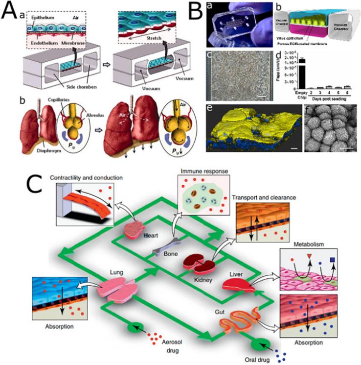 Thirty-year development history of microfluidic technology (5) - iMedia