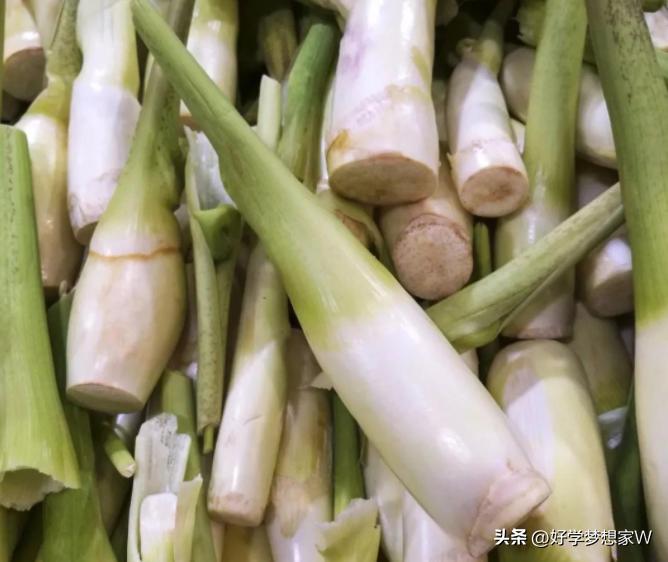 4 kinds of vegetables that are easy to eat in winter, oxalic acid is ...