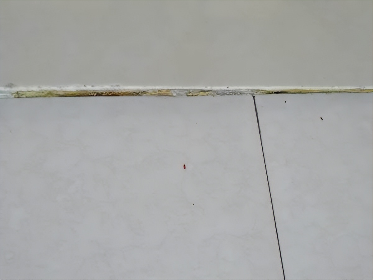 How to repair the water seepage in the bathroom tile seam? The master ...