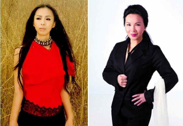 Huang Qishan, a celebrity in the Spring Festival Gala: 3. From being ...