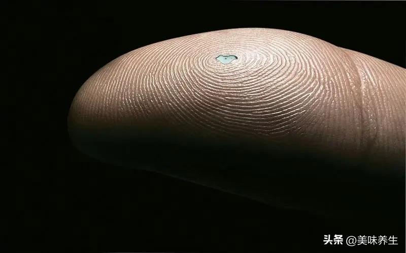 Will the same fingerprint grow back after the fingerprint is destroyed ...