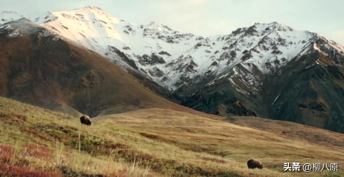 How did "The Last Hunter" achieve documentary effect through ...