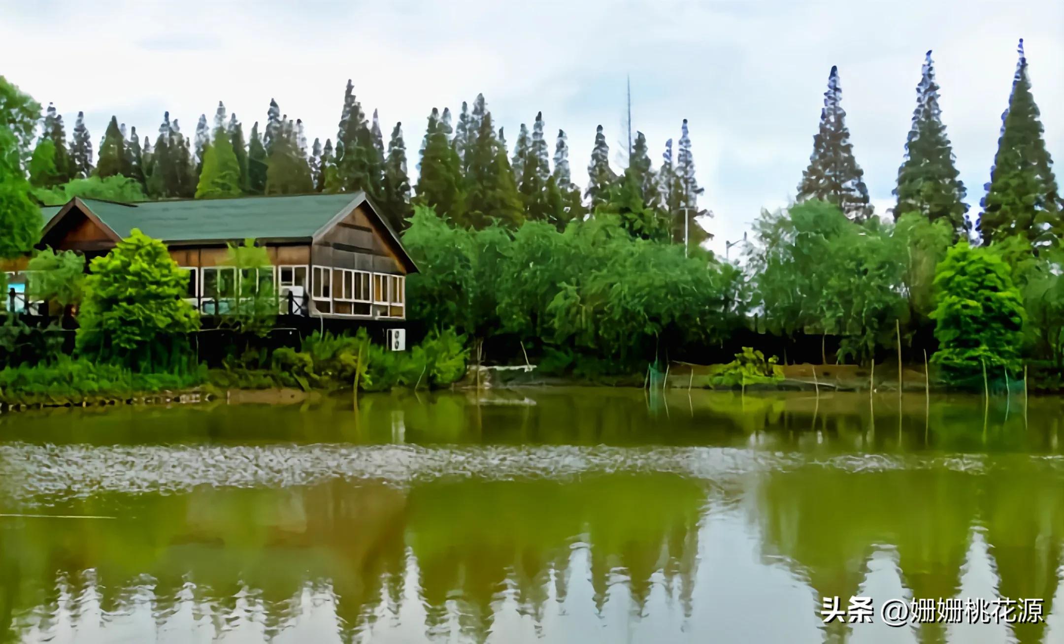 The most livable island around Jiangsu, Zhejiang and Shanghai - iMedia