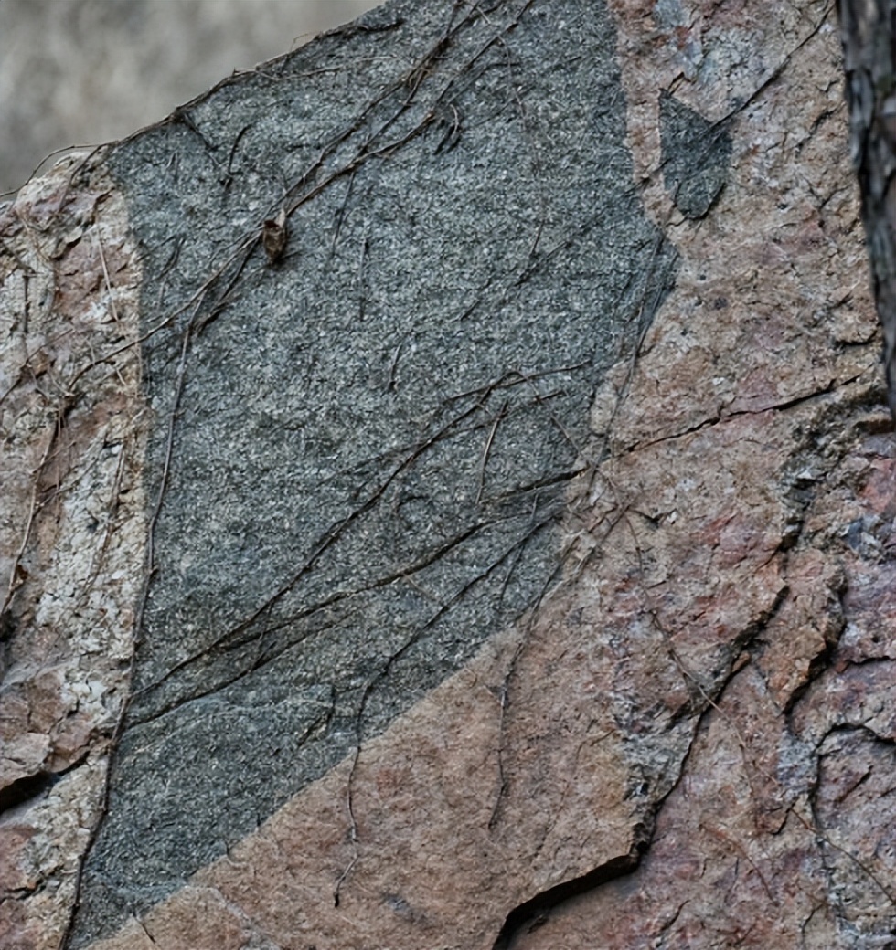 Mount Whipple: Transition of Dike Emplacement, Footwall Rotation, and ...