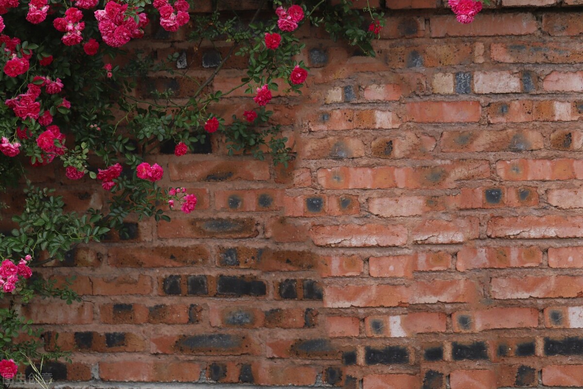 Retired aunt at 59 - iNEWS