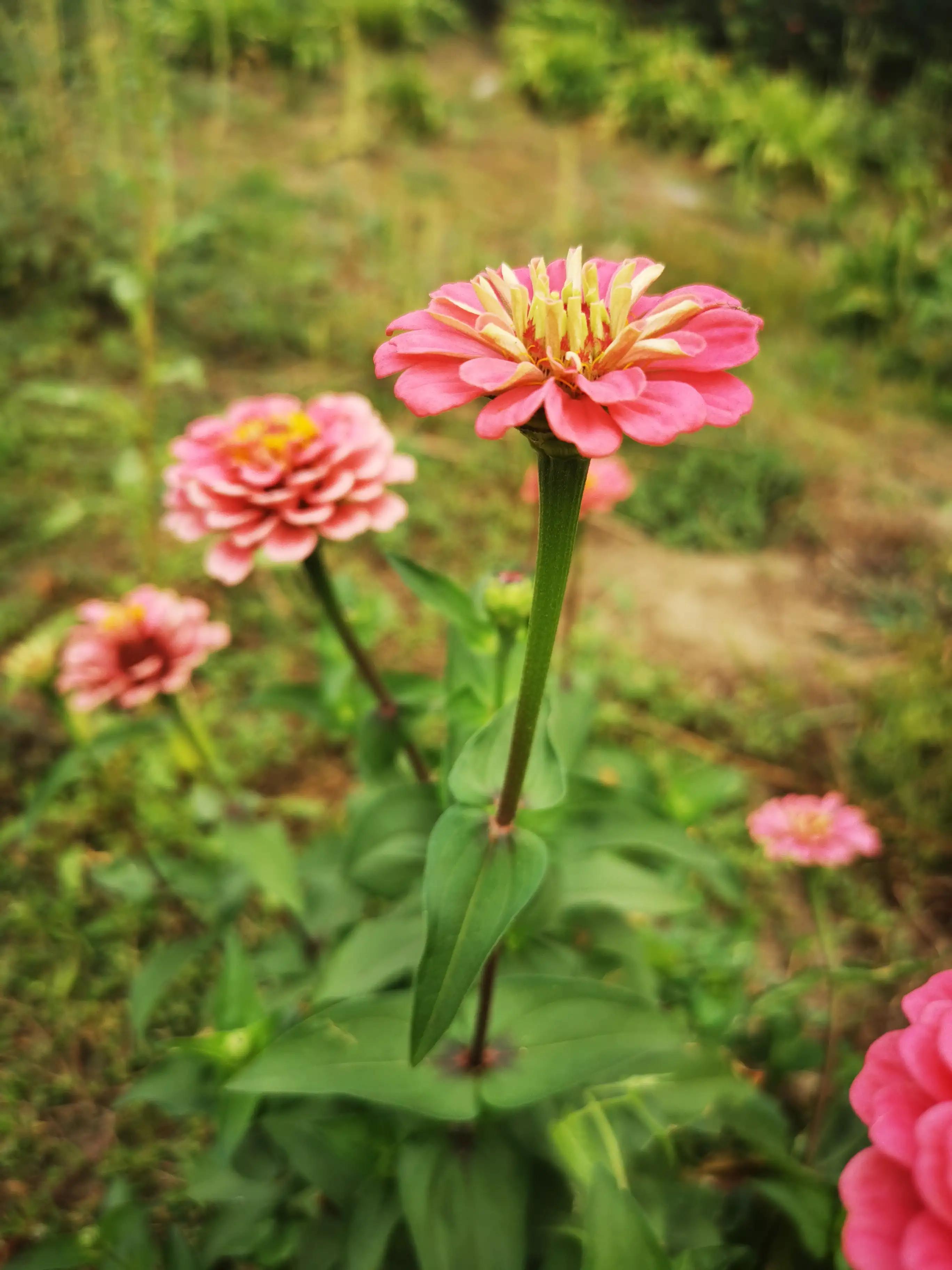 After sending the children to school, walk along the river to see the ...