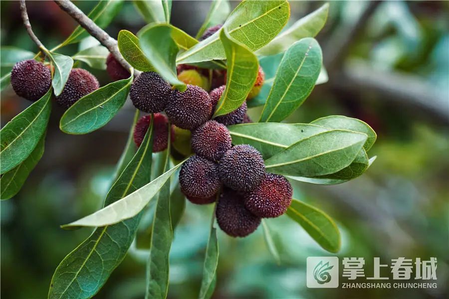 The "cool" side of summer is here! - iNEWS