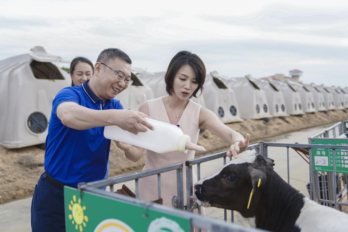 Tian Wei, founder of Baby Online, landed at the source of Feihe milk ...