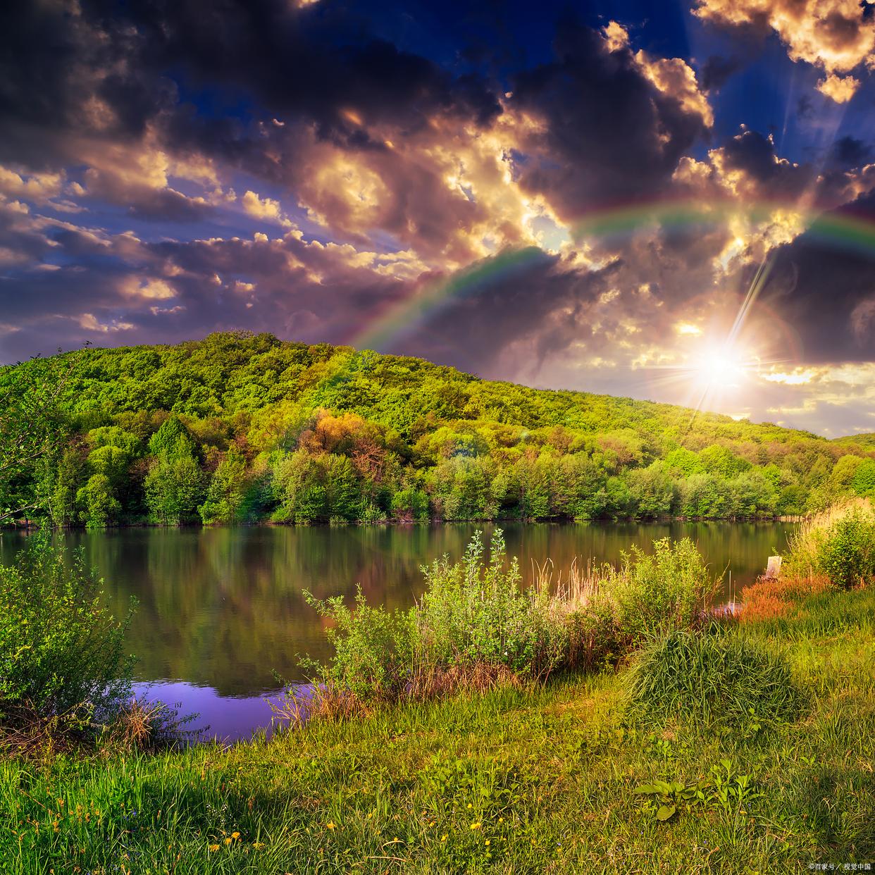 In 2024, they will have a good fortune, be brave to forge ahead, gain ...