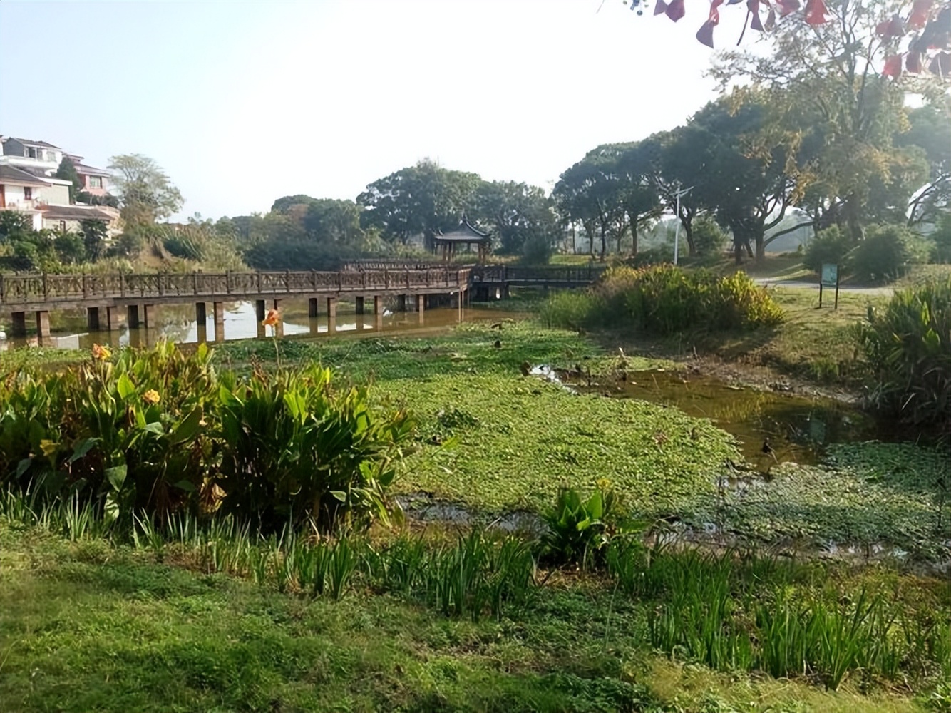 As an important ecosystem on the earth, small and micro wetlands have ...