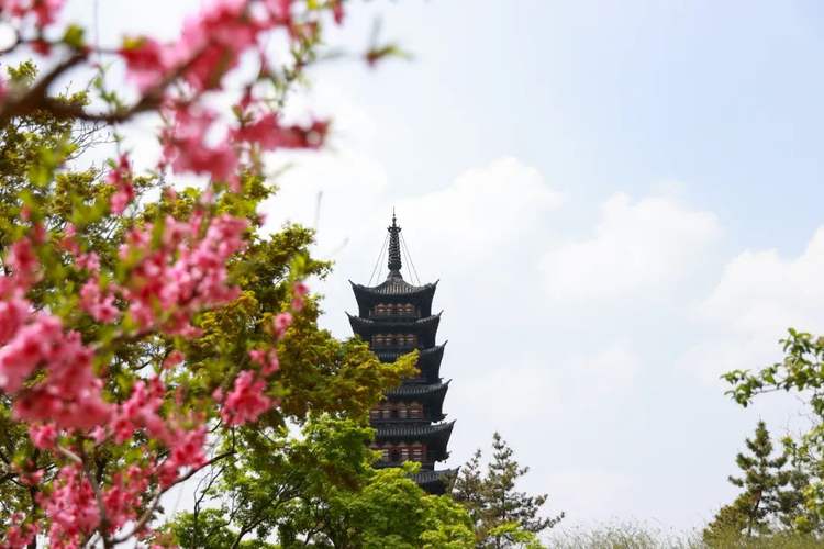 The spring is full of flowers and leaves, and the most beautiful spring ...