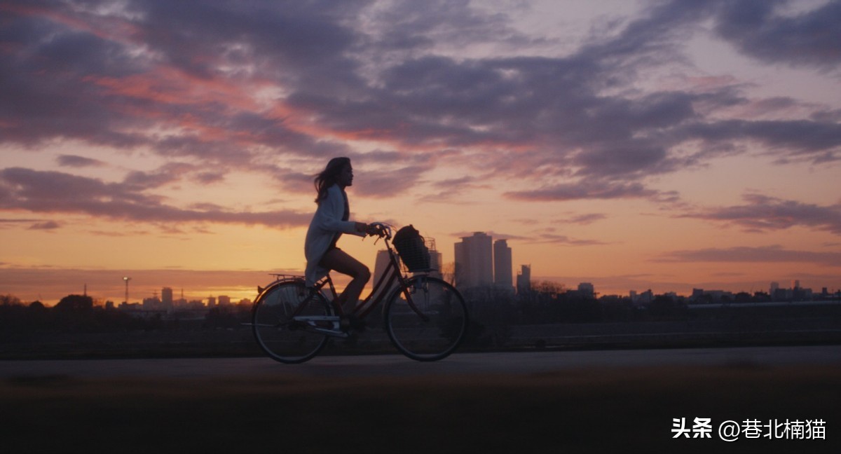 How does "The Bottom Posh" use handheld photography and fast editing to ...