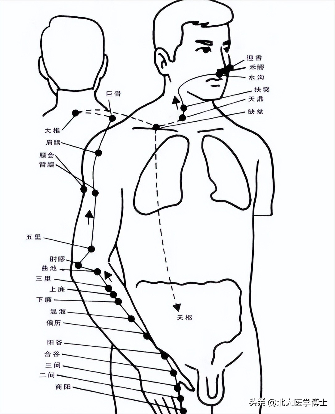 Gout, understand how traditional Chinese medicine differentiates ...