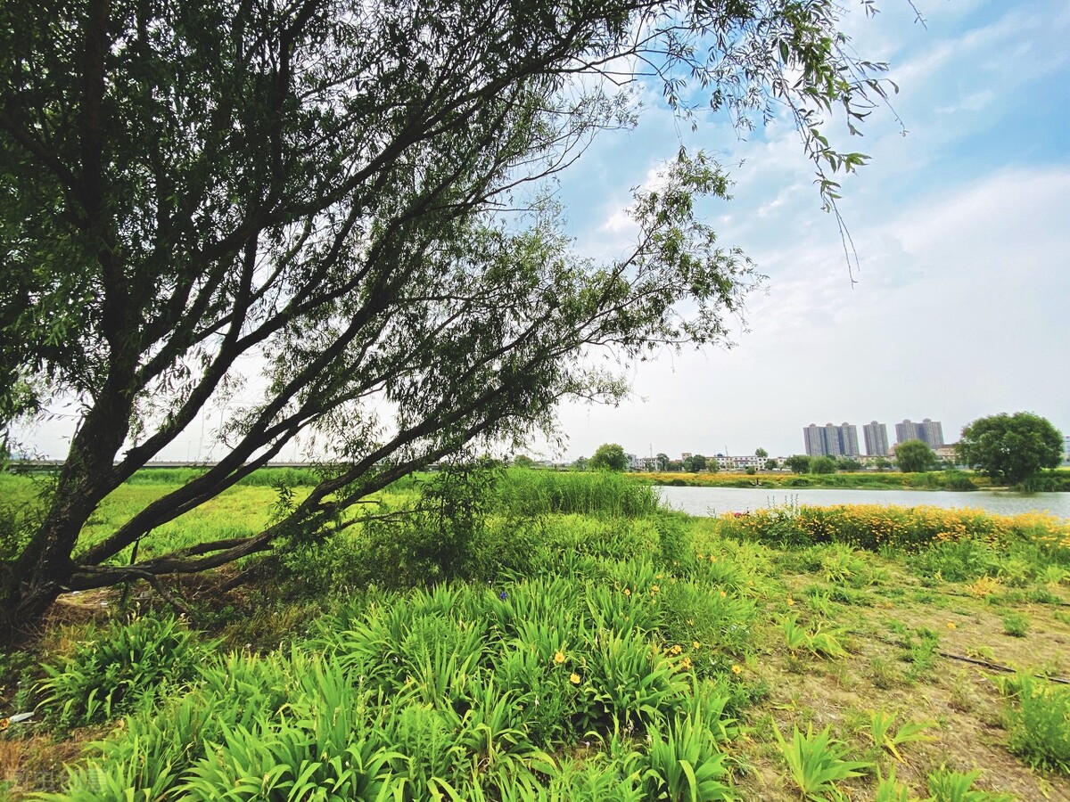 Eight Views of Guanzhong - iNEWS