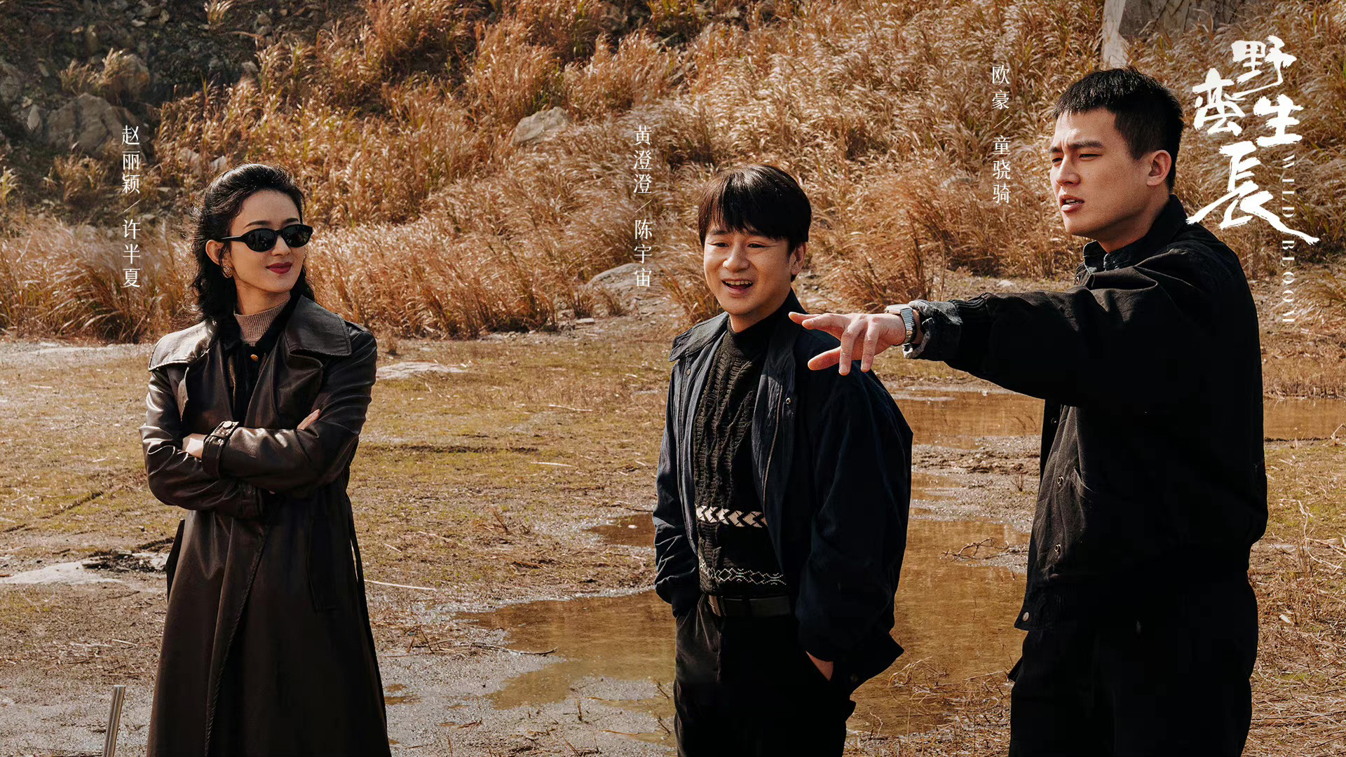 Watching people cry, what did "The Wind Blows Pinellia" do right - iNEWS