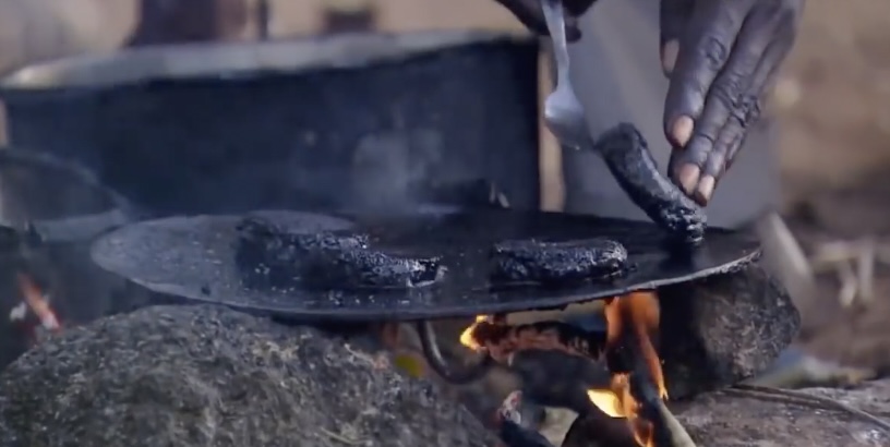 In foreign countries, mosquitoes are made into hamburger patties ...