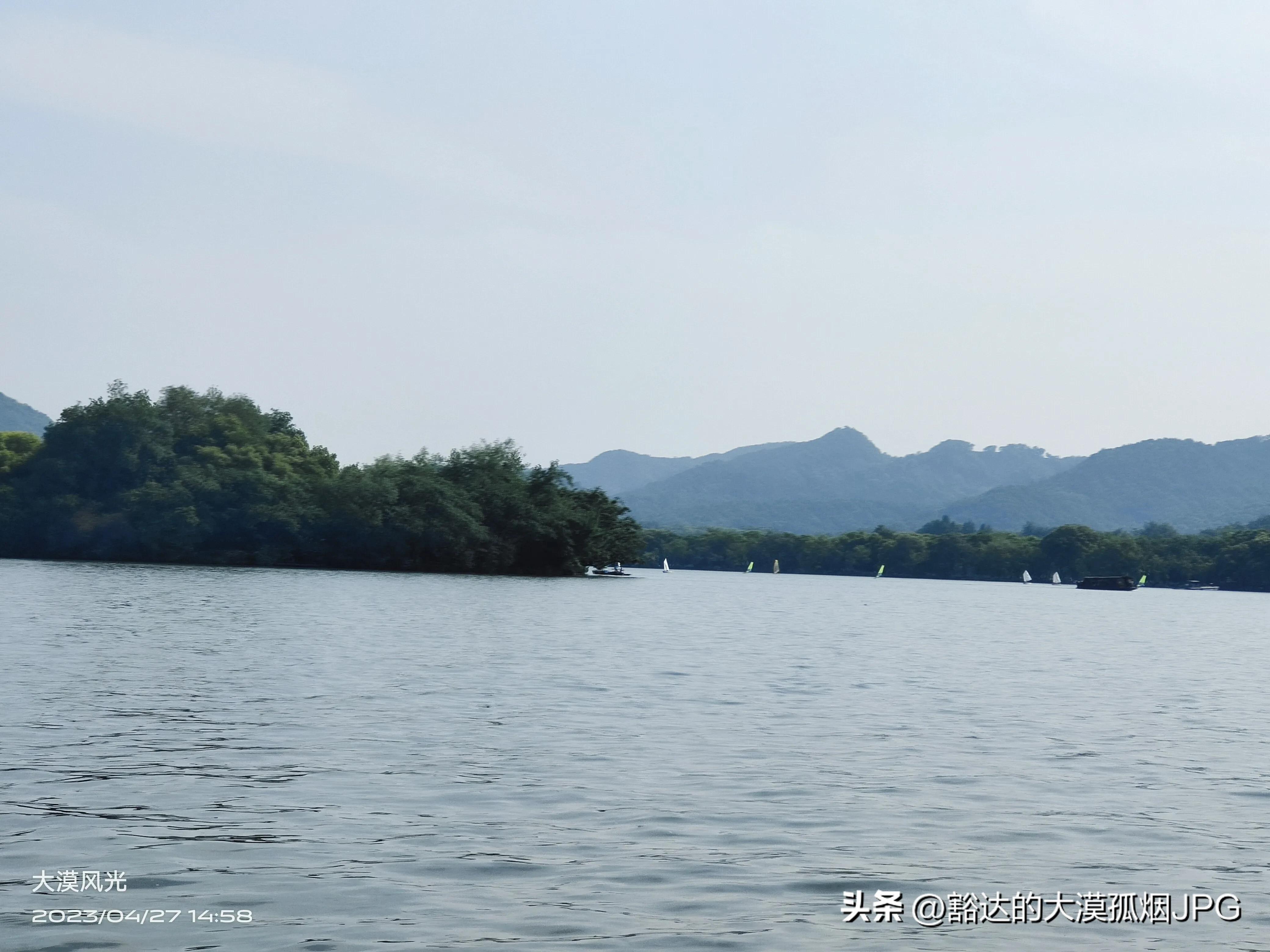 The flowers bloom, the mangroves sing, the grass grows, and the egrets ...