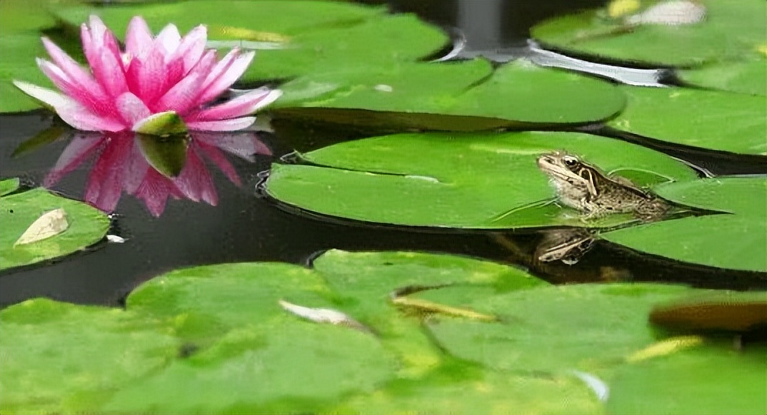 This ancient poem describes the embarrassing situation of invited ...