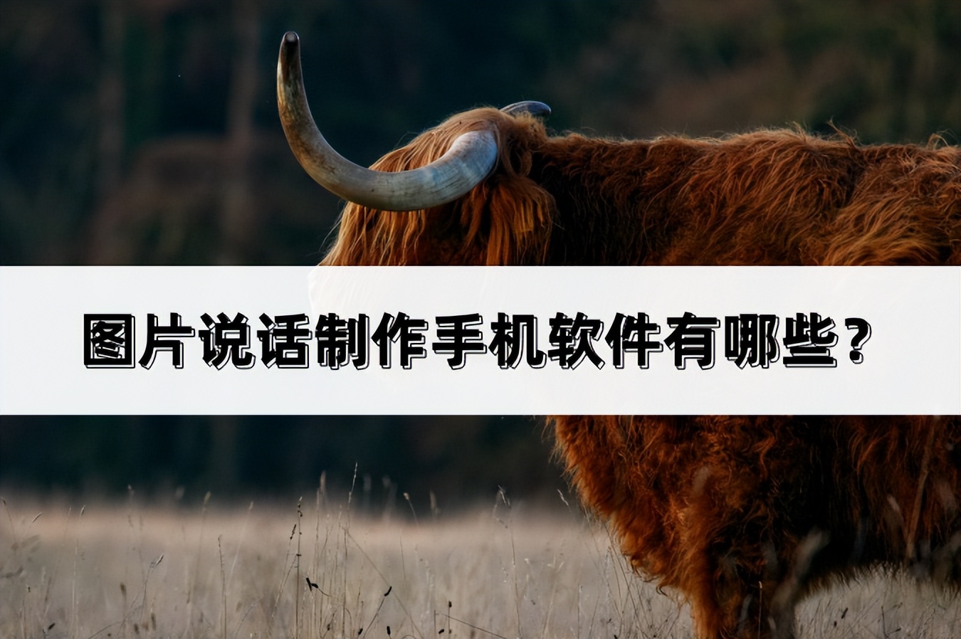 What are the mobile phone software that speaks with pictures?The ...