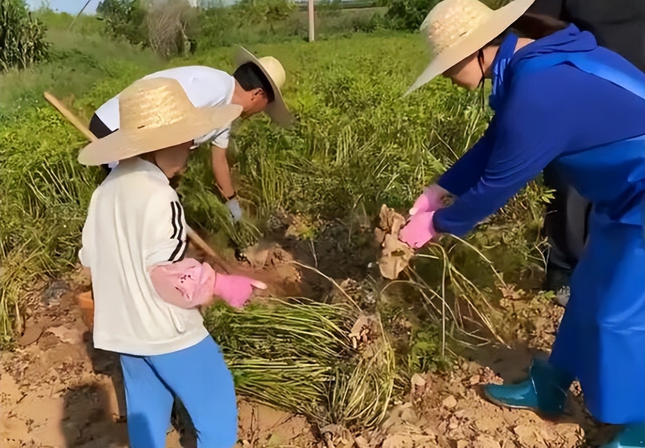 Guo Bin brought a smile back to his hometown to shave peanuts. He ...