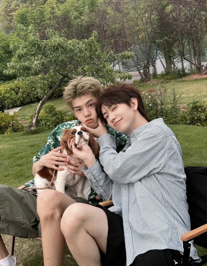 Chen Lu and Liu Cong are suspected of breaking up. They had quarreled ...