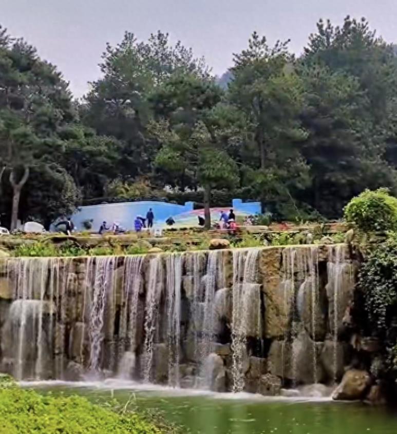 Coco Lee was buried on the 21st! The family moved the ashes to the ...