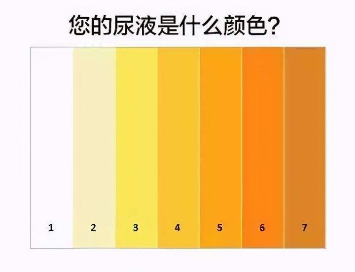 The shade of urine is a barometer of good health - iNEWS