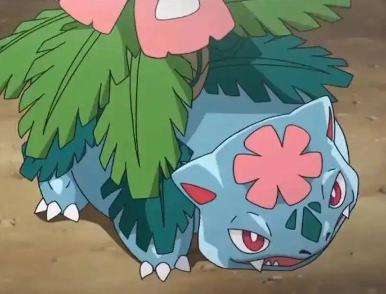 Of all the Mega evolutions in "Pokémon", why is the Frog Flower the ...