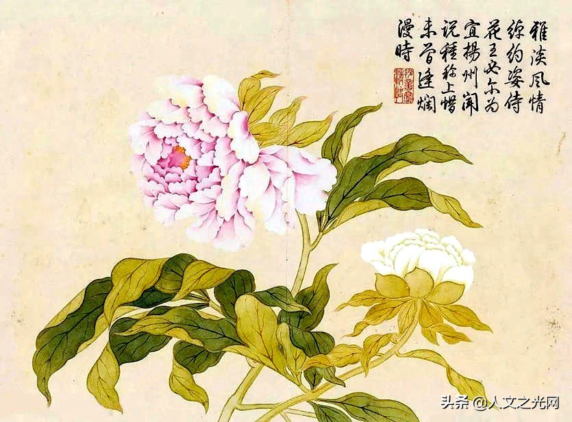 Seeing peony in the three dynasties of Lixia - iNEWS