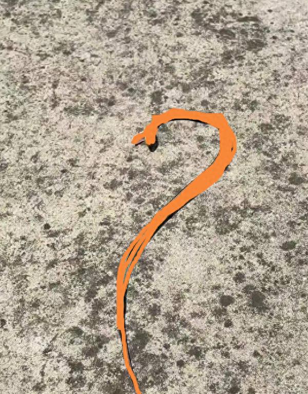 "The high temperature in Hangzhou caused snakes to suffer from ...