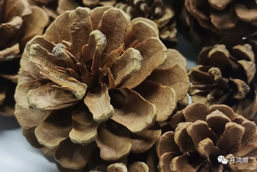Chinese luxury house - Chinese pine: China's treasure, synonymous with ...