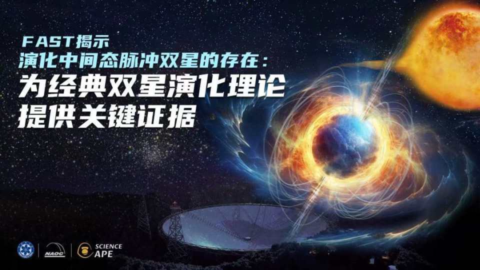 China Tianyan FAST discovers the shortest orbital period pulsar system ...